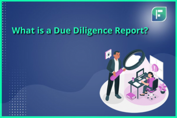 What is a Due Diligence Report?