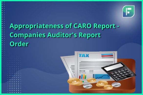 Appropriateness of CARO Report - Companies Auditor's Report Order