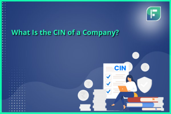 What Is the CIN of a Company?