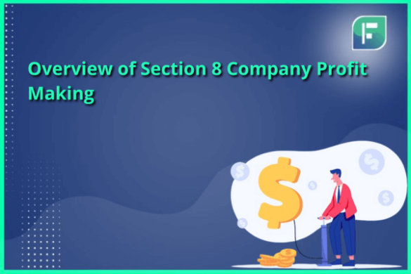 Overview of Section 8 Company Profit Making
