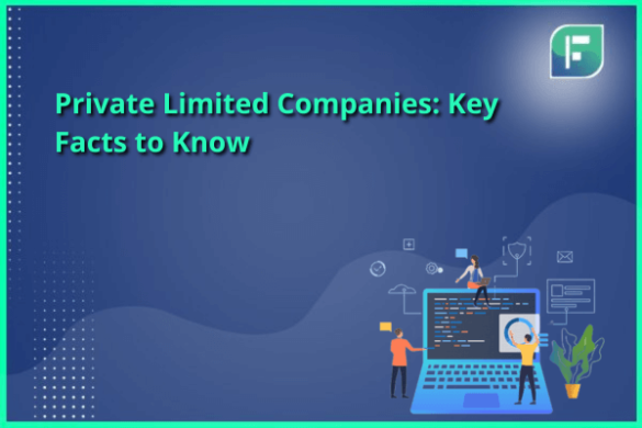 Private Limited Companies: Key Facts to Know - StartupFino
