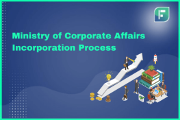 What are the main Designations in a Private Company?
