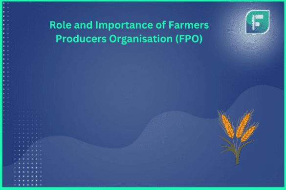 Role and Importance of Farmers Producers Organisation (FPO)